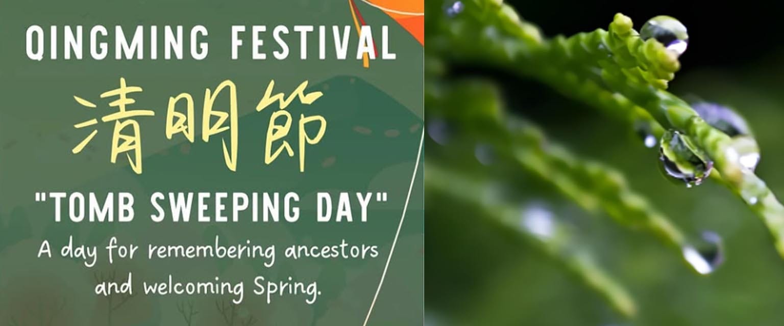 Qingming Festival to Honor Ancestors and Embrace Spring
